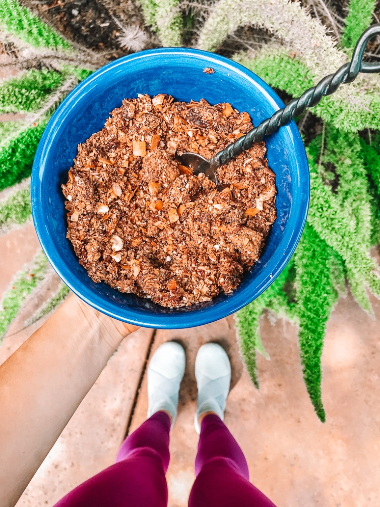 The Vegan SOS-Free Life & The BEST Choco-Cinnamon SOS-Free Granola ...